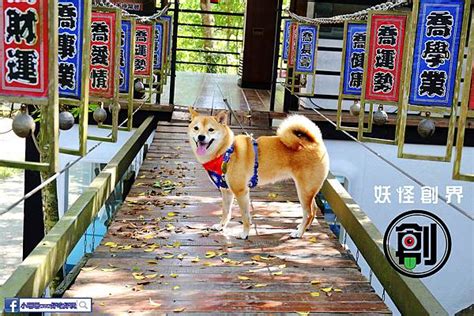 南投帶毛小孩出遊南投寵物友善餐廳旅遊景點懶人包 輕旅行