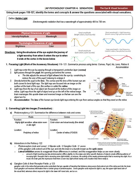 Transduction Psychology Eye