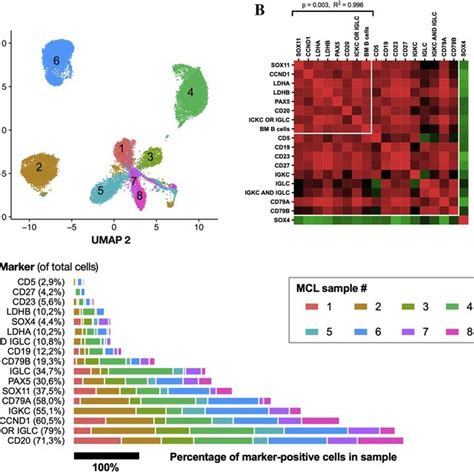 Clustering Of Combined Single Cell Transcriptomes Expression And Download Scientific Diagram