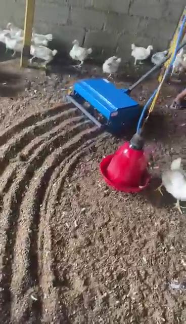 Poultry Litter Racking Object Detection Dataset By Chanduproject
