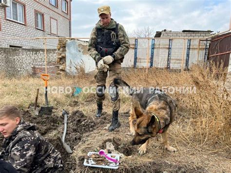 В Новороссийске неожиданная находка на собственном земельном участке