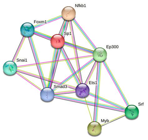 Cells Free Full Text Differential Gene Expression In Activated
