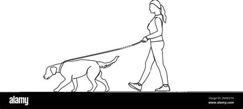Continuous Single Line Drawing Of Woman Walking Her Dog Line Art