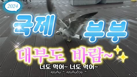 태국아내와 대부도 영흥도를 다녀왔습니다 집에서 하루종일 기다리고 있는 아내~를 위해 데이트 중~ 왕짜중고차~ 국제부부 국제결혼 Youtube