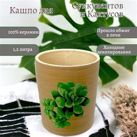 Вопросы и ответы о Кашпо для Суккулентов и кактусов – OZON (1558618597)