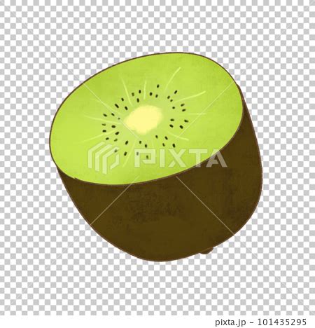 奇異果切成兩半 插圖素材 101435295 PIXTA圖庫