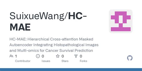 github suixuewang hc mae hc mae hierarchical cross attention masked