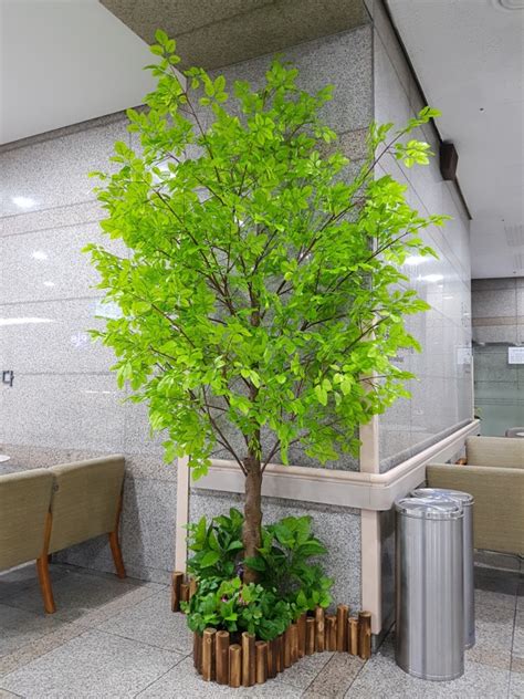 인천 병원 로비 인조느티나무