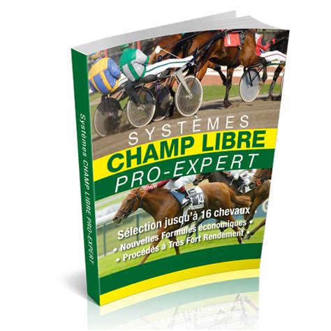 Comment Remplir Un Champ Réduit Exemple Pour Le Quinté