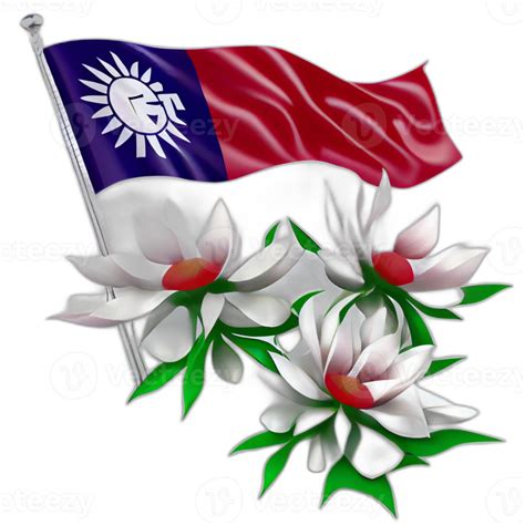 Taiwan Flag Patriot Illustration Taiwanese Flags Patriotism 22685703 Png