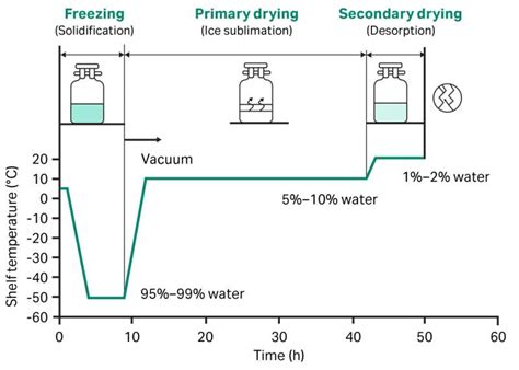 Lyophilization In Pharmaceutical Industry Pharma Lesson