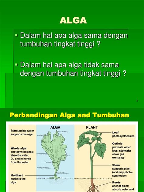 Lecture 1 Pdf Sexual Reproduction Reproduction