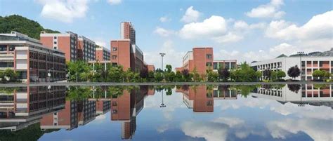 【重磅消息】毕节东辰2022年春期转学预登记公告教育小学年级