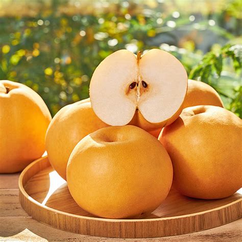 델푸릇 프리미엄 과일 선물세트 10종 사과배 쿠캣