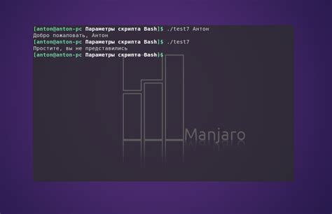 Аргументы командной строки Bash Losst