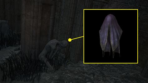 Zullie Lokey Lore