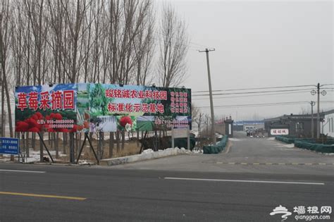 竣铭诚农业科技园 门票 地址 电话 农家院 自驾线路 攻略 图片 简介 景点查询 竣铭诚农业科技园 景点介绍 墙根网