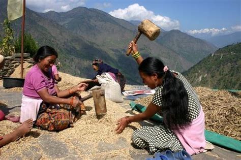 Food And Climate Change The Forgotten Link