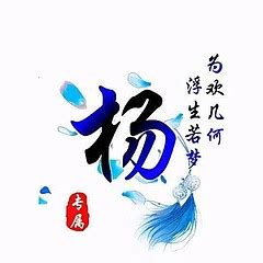 O老杨 雪球