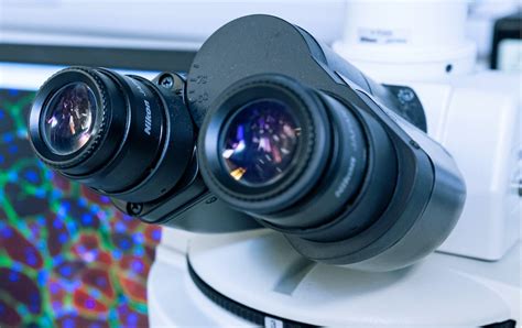 Hkust Researchers Develop Nanoporous Zinc Electrodes That Make Primary Alkaline Zinc Batteries