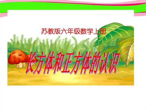 《长方体和正方体的认识》优质 省一等奖课件ppt课件 省一等奖课件word文档在线阅读与下载无忧文档