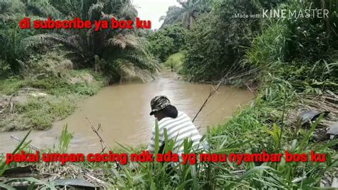 Hari Pertama Mancing Di Sungai Kecil Zonk YouTube