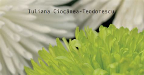 Algorithms For Finite Rings Leiden University