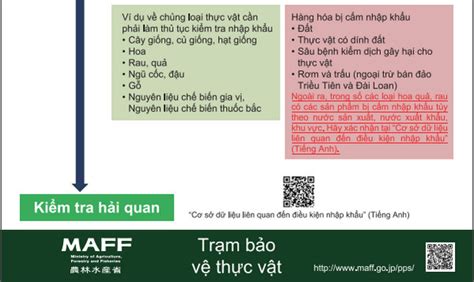 Những đồ Cấm Mang Sang Nhật Bản Mà Bạn Cần Lưu ý Xuất Khẩu Lao Động Hvtc