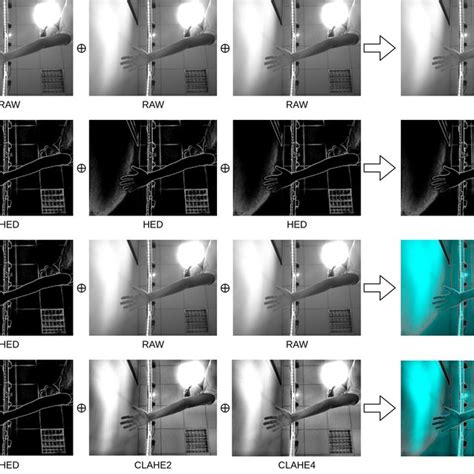 Visual Comparison Of The Ablation Study Conducted In Sec 54 In Each