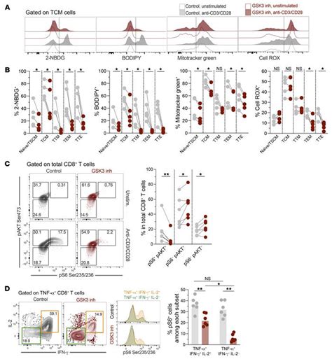 Jci Reprogramming Dysfunctional Cd8 T Cells To Promote Properties