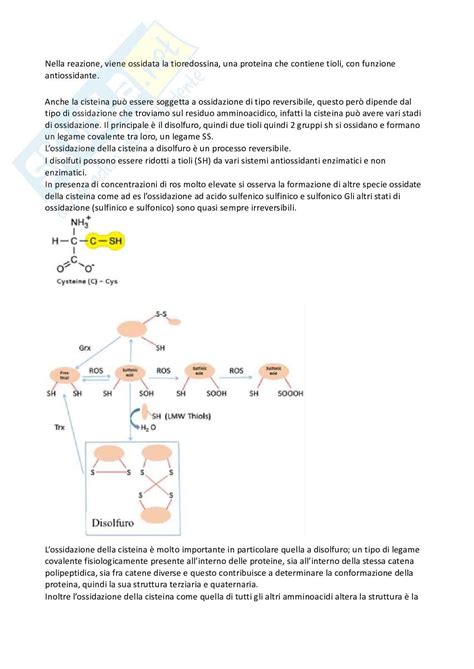 Basi Biochimiche E Molecolari Del Benessere Della Persona