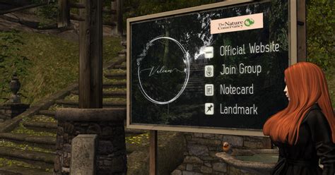 MEIN ZWEITES LEBEN
