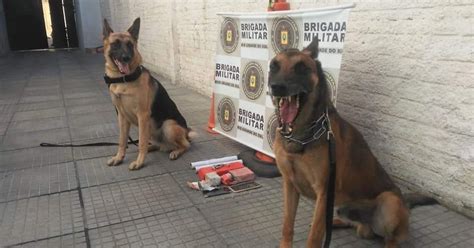 Evaldo Gomes Notícias BM prende homem por tráfico e descumprimento de prisão domiciliar em Rio