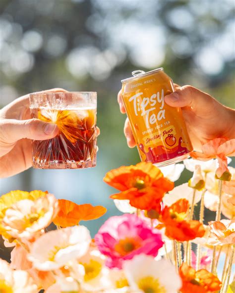 Tipsy Tea Alcoholic Iced Tea 4 Pack Coastal Moon Distillery