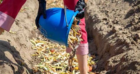 Types Of Composting Methods Explained
