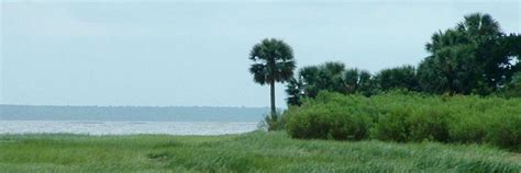 Reductivegroup On Bluesky