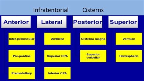 Cerebral Cisterns For Radiology Dnb Pptx