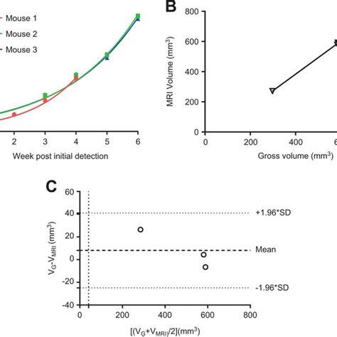 Exponential Growth Curves For Longitudinal 3d Volumetric Measurements Download Scientific