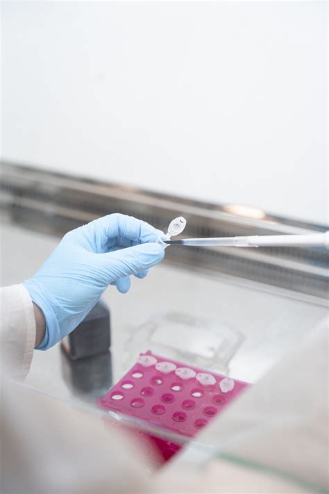 Immunoassays Immunoassay Services Inaphaea Biolabs