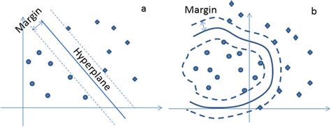 The Large Margin Principle Of A Linear And B Nonlinear Support