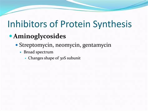 Chapter 6 Inhibitors Of Cell Wall Synthesis Pptx