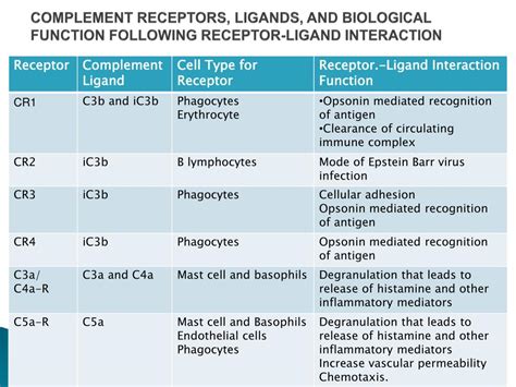 Ppt Complement Powerpoint Presentation Free Download Id 1976702