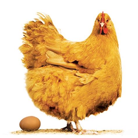 Amazon Musicでvdanielvのchicken Song Bass Boostedを再生する