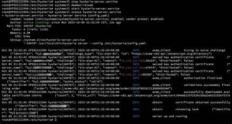 手动搭建 Hysteria2 翻墙协议 用于 Surge 或者 Loon Linuxword Global