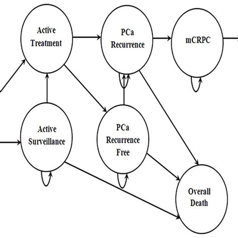 Schematic Diagram Of The Computer Simulation Model For Each