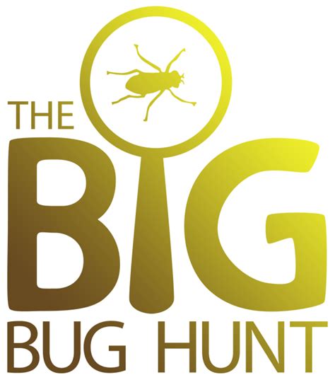 Insect Bug Identification Artofit