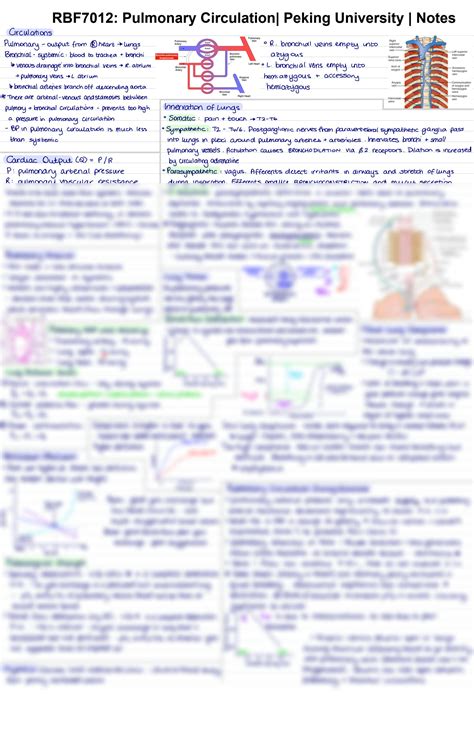 Solution Pulmonary Circulation Lecture Summary Notes Studypool