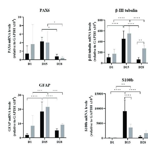Quantitative Expression Of Neural Nestin Pax6 β Iii Tubulin Map2