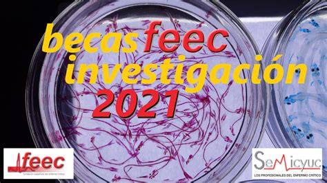 Convocadas las Becas FEEC de Investigación 2021 Semicyuc
