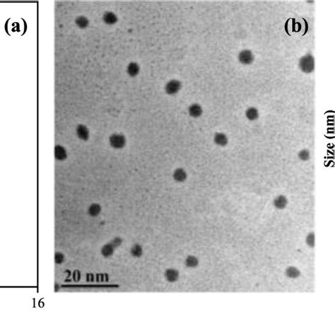A Particle Size Evolution Of Peg At Peg Nps Prepared By Download Scientific Diagram